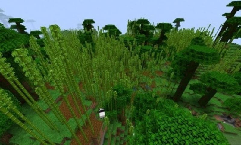 The uses for bamboo in Minecraft