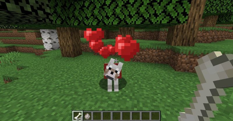 How to tame a wolf in Minecraft