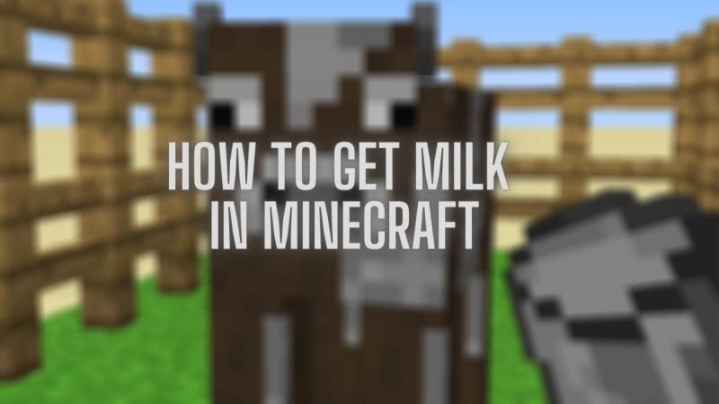 How to get milk in Minecraft