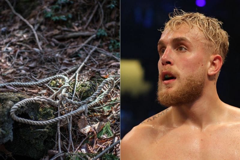 Did Jake Paul also go to the Japanese suicide forest?