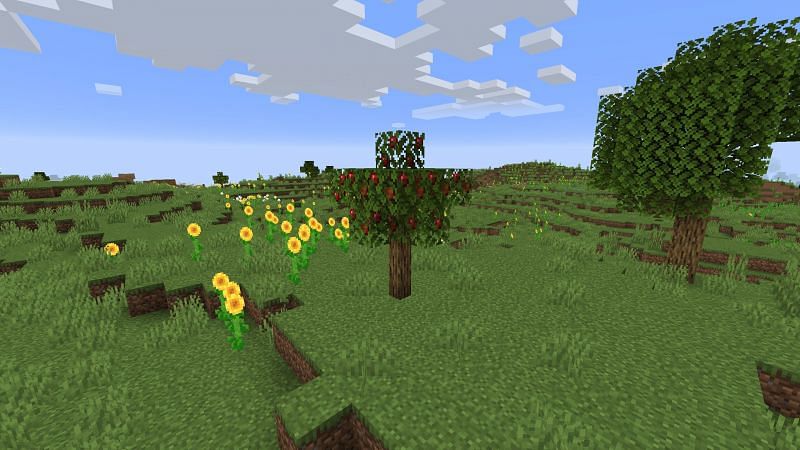5 best Minecraft Java Edition mods for 1.16 5 best Minecraft Java Edition mods for 1.16