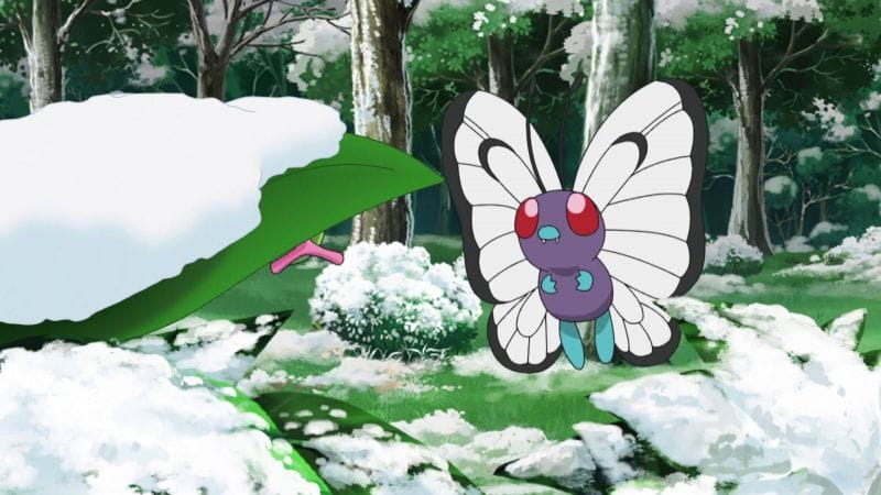 5 most popular Bug Pokemon from Kanto