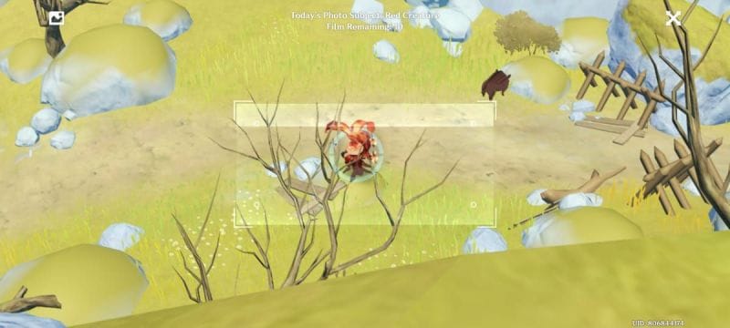 Genshin Impact: Red creature locations for Five Flushes of Fortune event