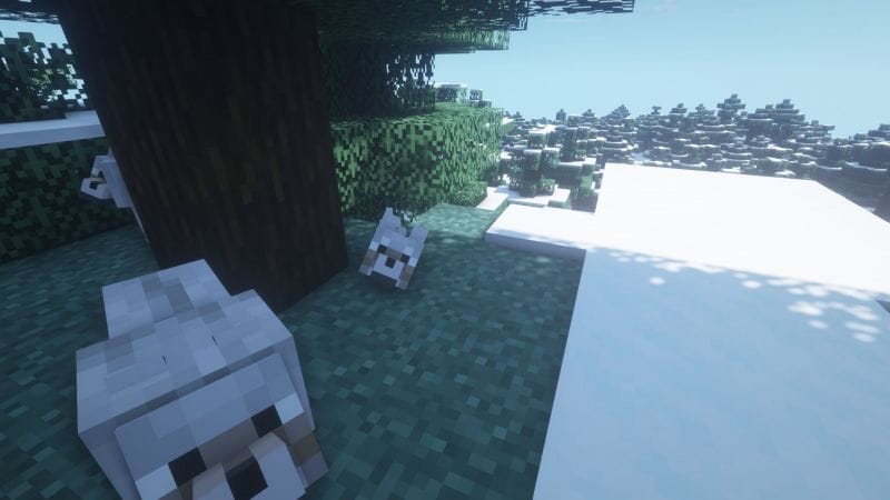Wolves in Minecraft: Everything players need to know