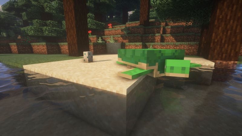 Turtles in Minecraft: Everything players need to know