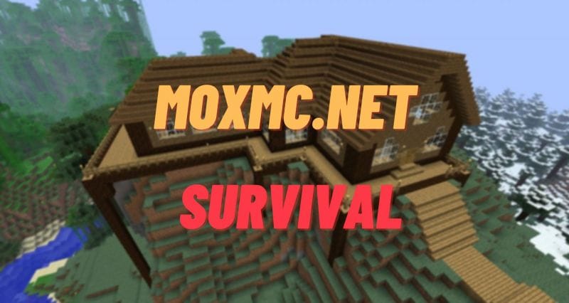 Top 5 Minecraft Survival servers to play in 2021