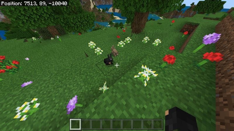 Minecraft Rabbit: Spawning, Behavior, Drops