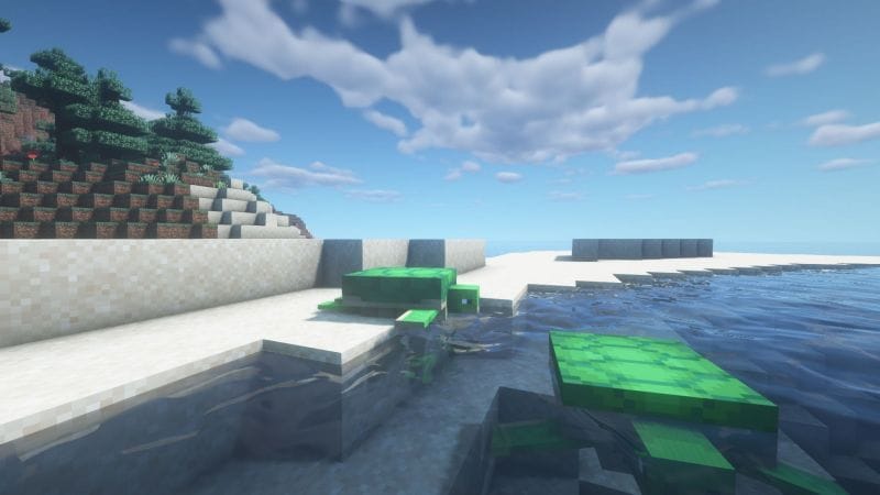 Turtles in Minecraft: Everything players need to know
