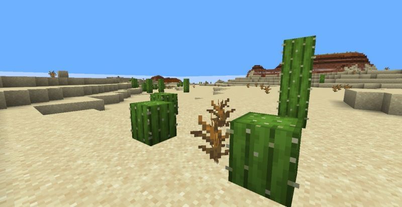Top 5 uses of Cactus in Minecraft