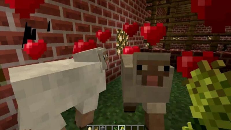 Breeding sheep in Minecraft: Everything player need know