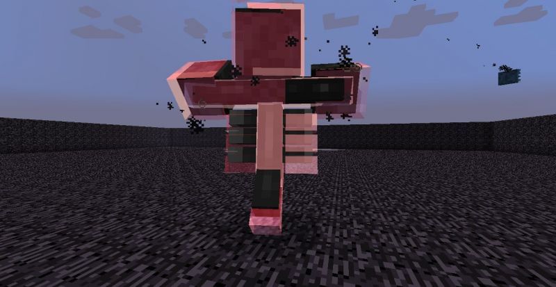 5 things players didn't know about Withers in Minecraft