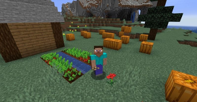 The uses of beetroot seeds in Minecraft