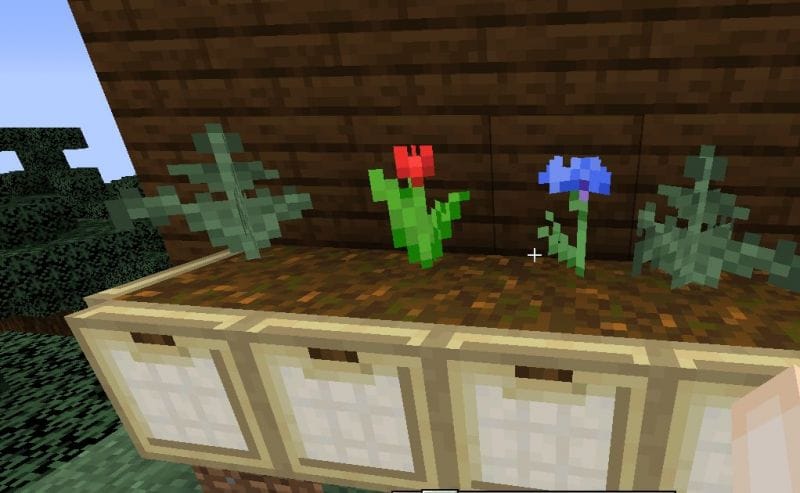 Top 5 uses for ferns in Minecraft
