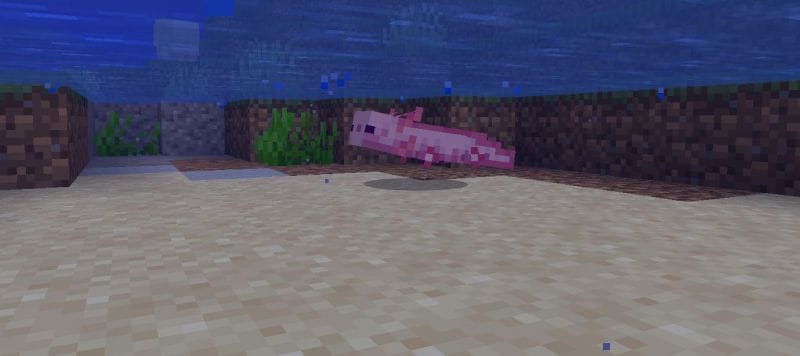 Axolotl in Minecraft: Everything players need to know in 2021