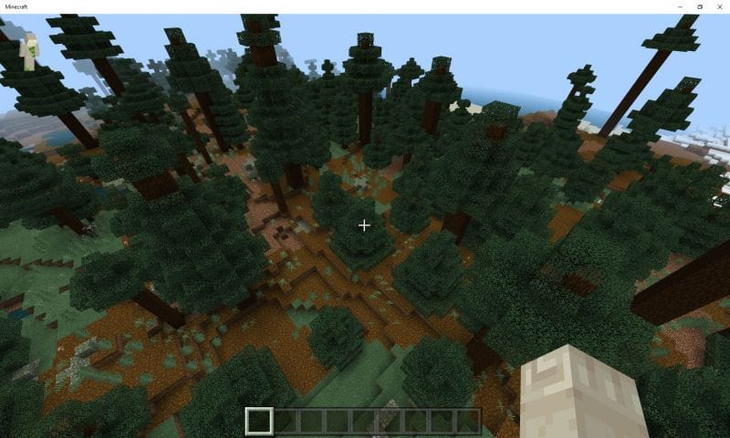 Everything players need to know about podzol in Minecraft