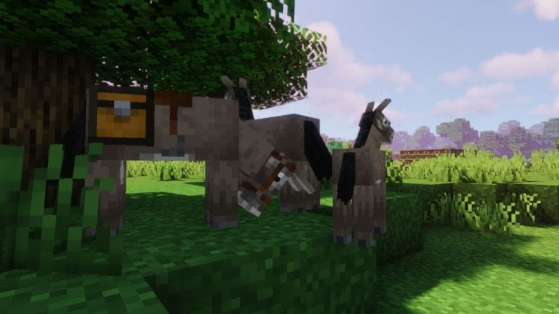 Donkeys in Minecraft: Everything players need to know