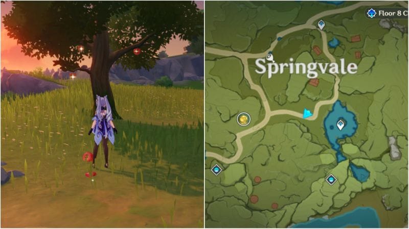 Top 5 Genshin Impact apple locations for Marvelous Merchandise event