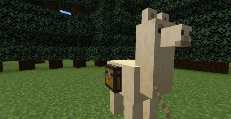 Top 5 uses for llamas in Minecraft
