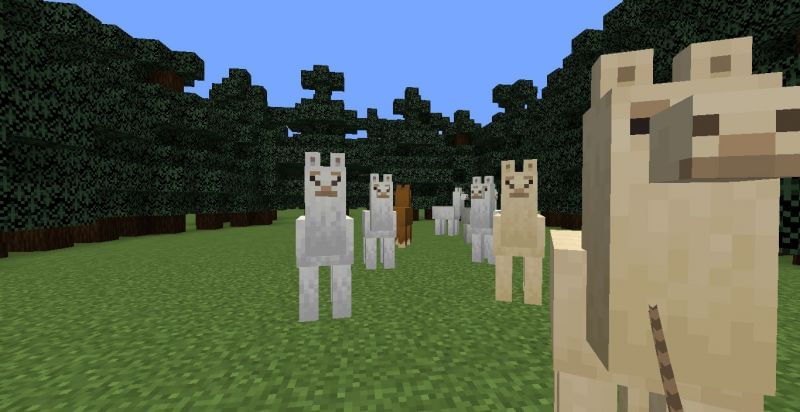 Top 5 uses for llamas in Minecraft