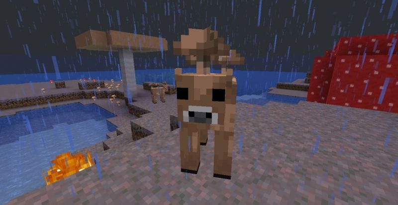 Top 5 most rare incidents in Minecraft