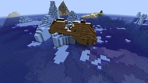 5 Best Minecraft seeds spawning skeletons