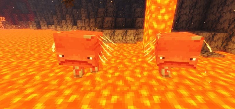 Striders in Minecraft: Everything players need to know
