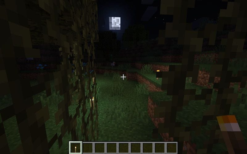 How to find Slimes in Minecraft: All Details you need to know!