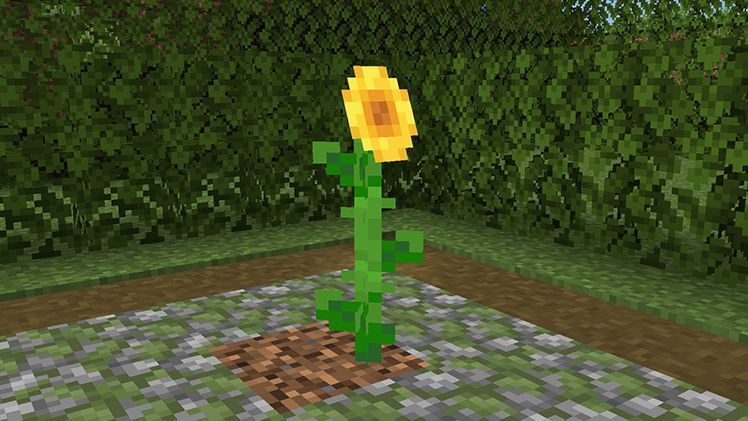 Top 5 uses for sunflowers in Minecraft