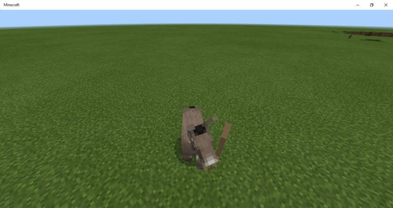 Where do donkeys spawn in Minecraft?