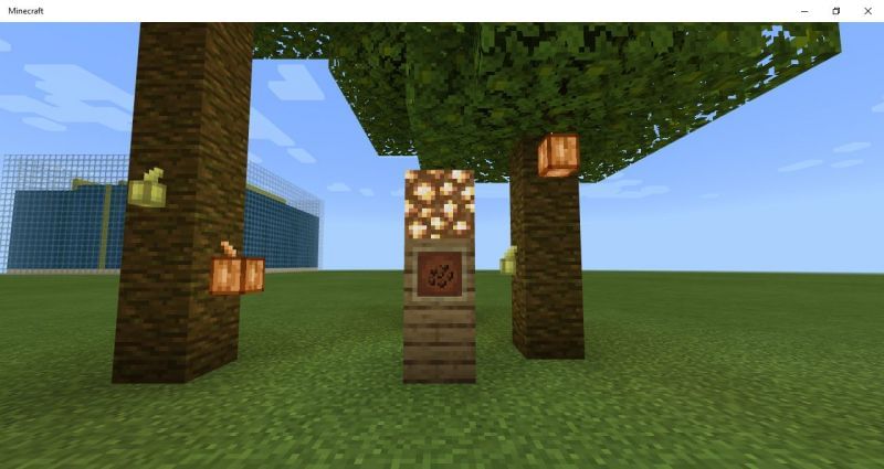How to grow cocoa beans in Minecraft easily