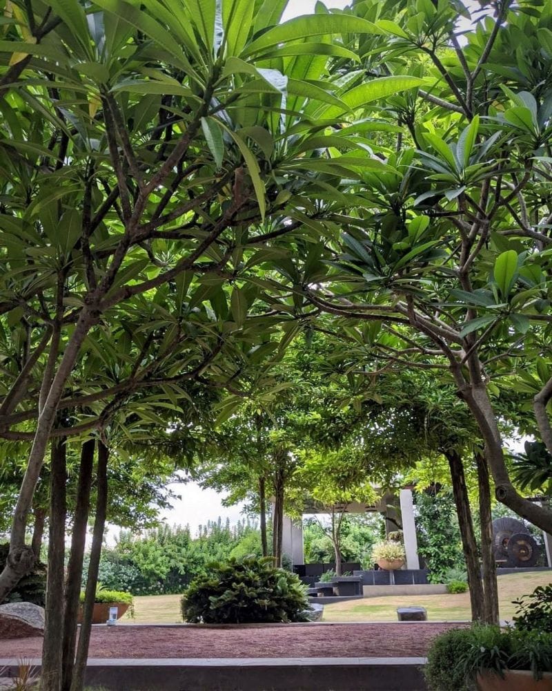 MS Dhoni's House- MS Dhoni Residence, Address & House Photos