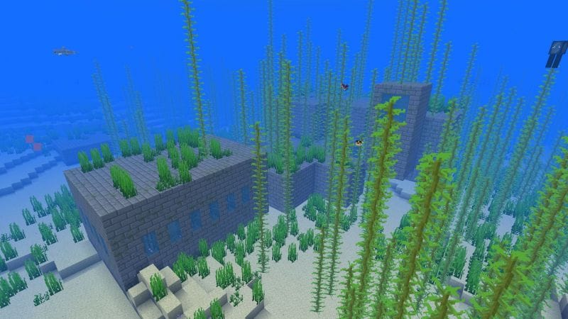 5 best Minecraft Java ocean seeds in 2021
