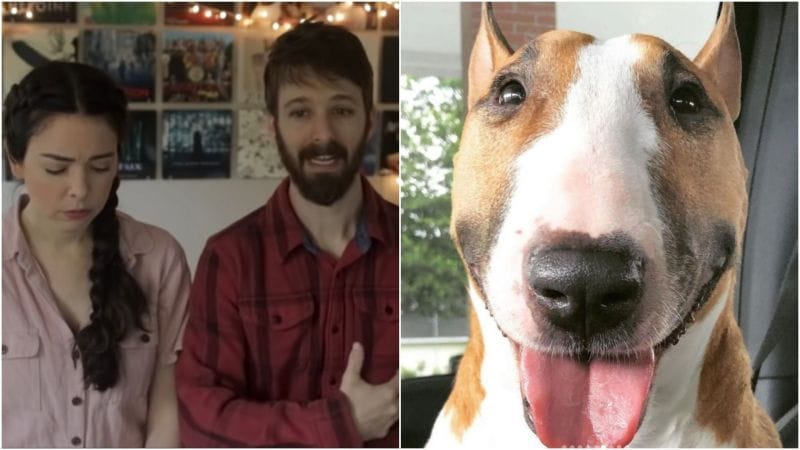 Nikki Phillippi and husband Dan face severe backlash for putting down ...