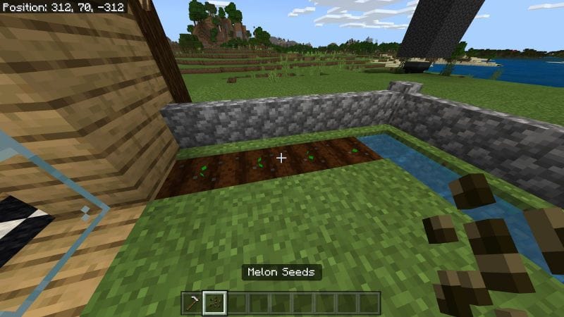 How to Grow Melons in Minecraft? - 8 Simple Steps