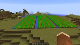 Top 5 Things Players Need To Know About Farming In Minecraft