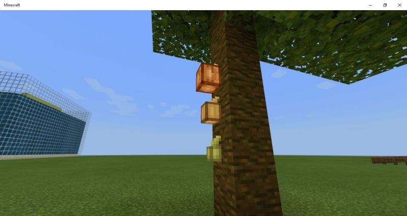 How to grow cocoa beans in Minecraft easily