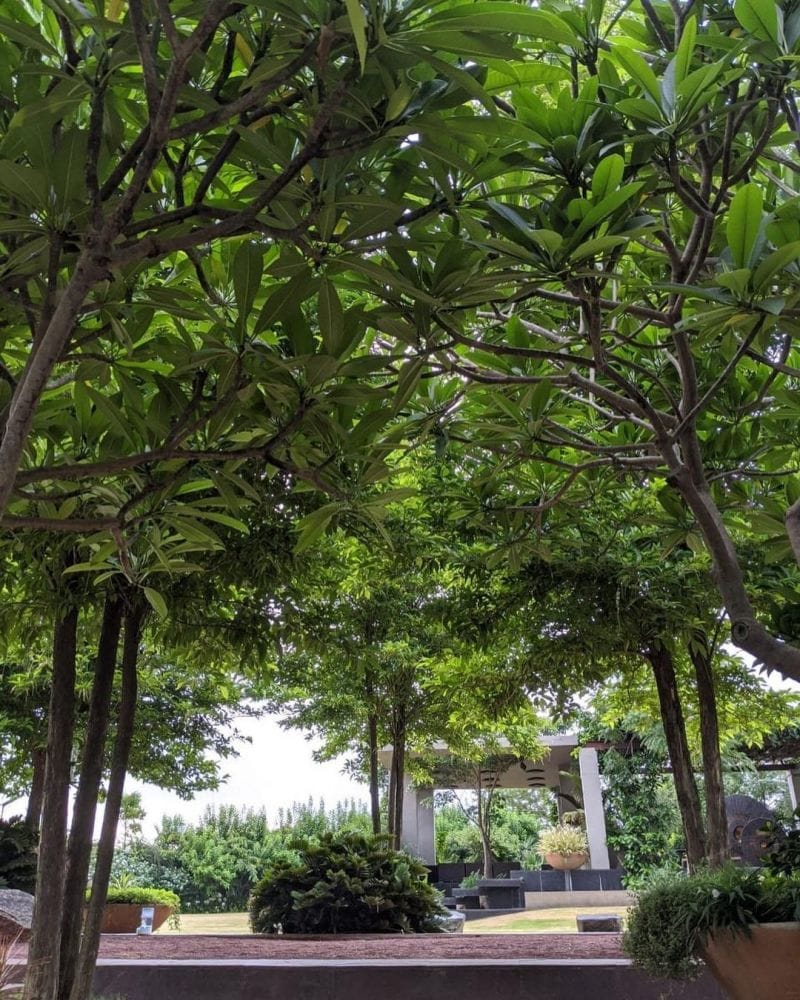 MS Dhoni's House- MS Dhoni Residence, Address & House Photos