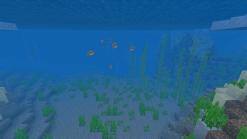 Top 5 most common biomes in Minecraft