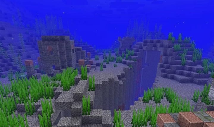 How to get Seagrass in Minecraft