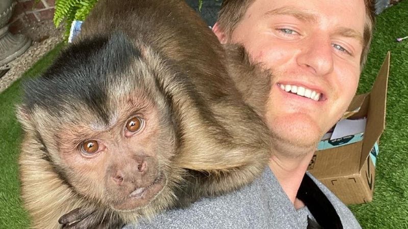 Fans pay an emotional tribute as TikTok sensation Georgie Boy monkey ...