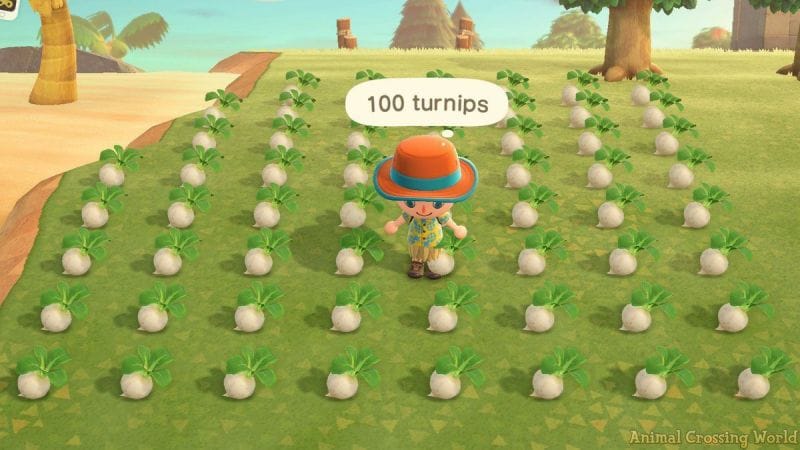 Animal Crossing: New Horizons turnip calculator