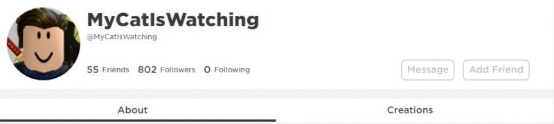 Top 5 Admin Usernames on Roblox