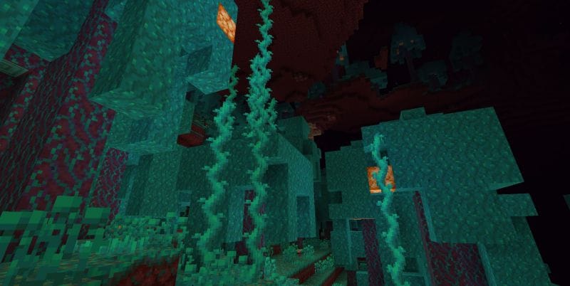 How to farm twisting and weeping vines in Minecraft