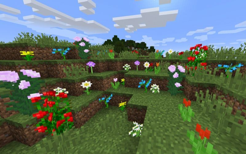 How to find every flower in Minecraft