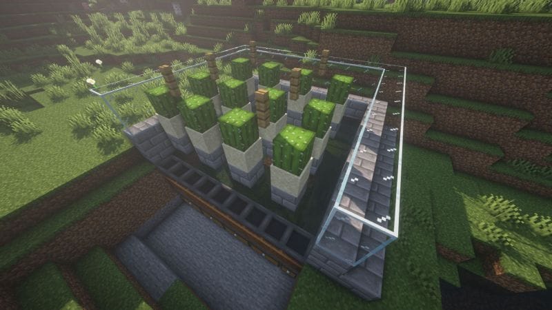 How to create an automatic bone meal farm easily in Minecraft
