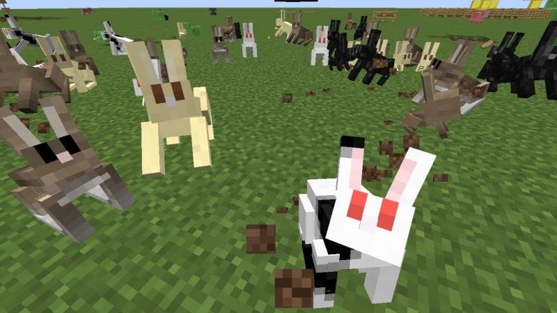 Where do rabbits spawn in Minecraft?