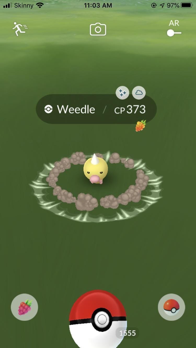 Weedle Pokémon: How to Catch, Moves, Pokedex & More