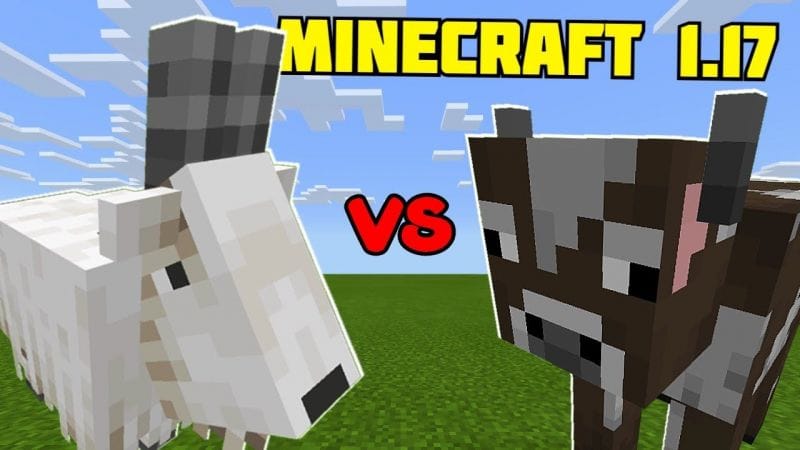 Cows vs Goats in Minecraft: 5 major differences between the two mobs