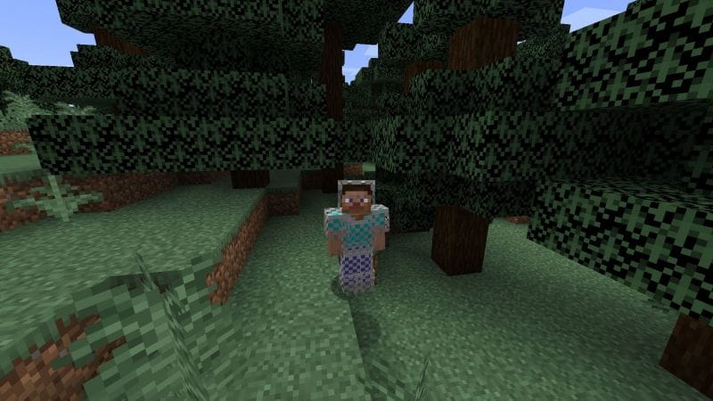 Top 10 rarest items in Minecraft