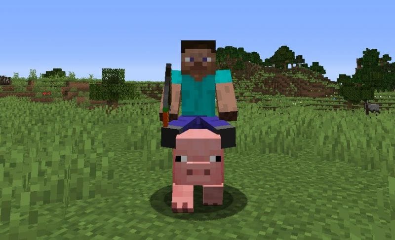 Every type of Minecraft pig mob ranked